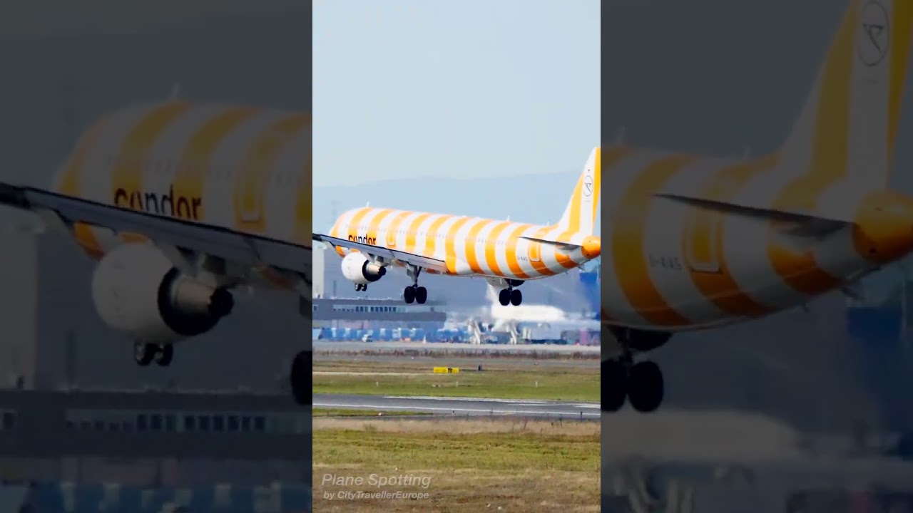 Condor A321 Yellow Livery landing vom Faro - City Traveller Europe